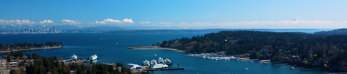 Newcomer's Guide to Bainbridge Island - Debbie Nitsche